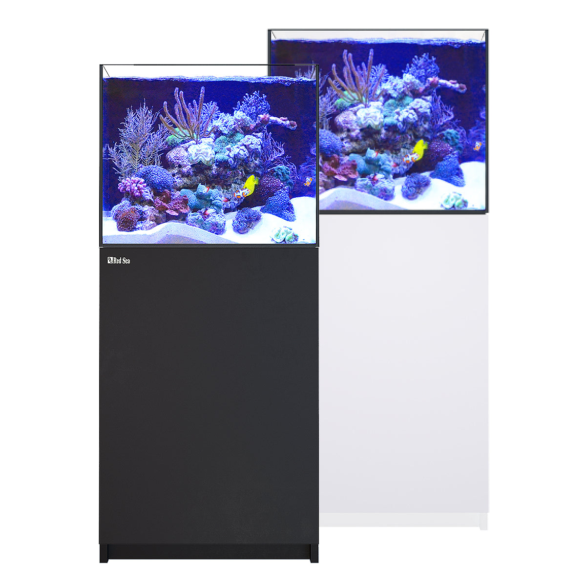 Reefer 200 G3 Aquarium System - 52.8 Gallons – Reef Goods