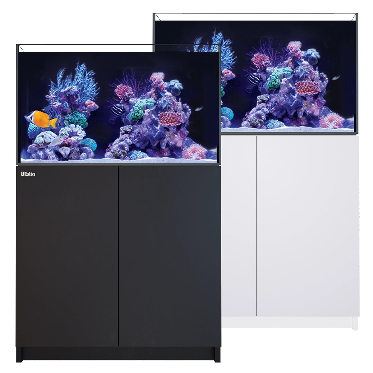 Reefer 300 G3 Aquarium System - 79.3 Gallons – Reef Goods