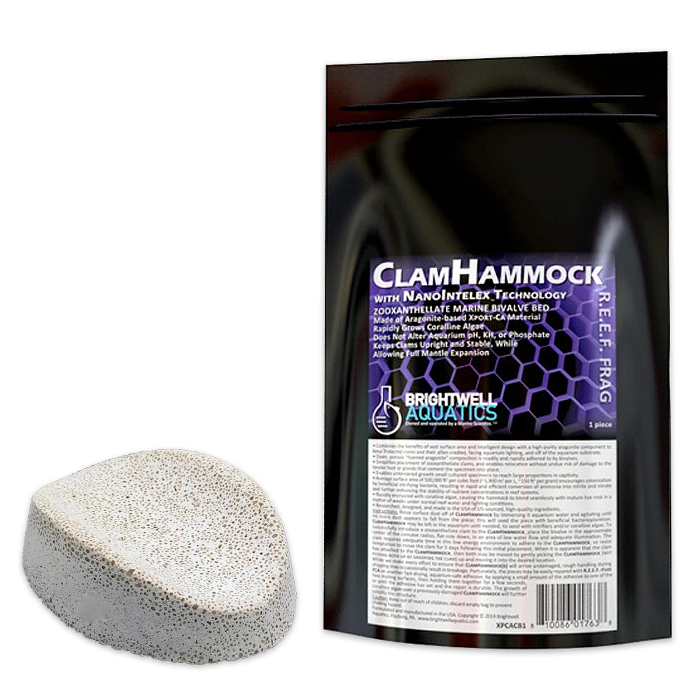 Clam Hammock – Reef Goods