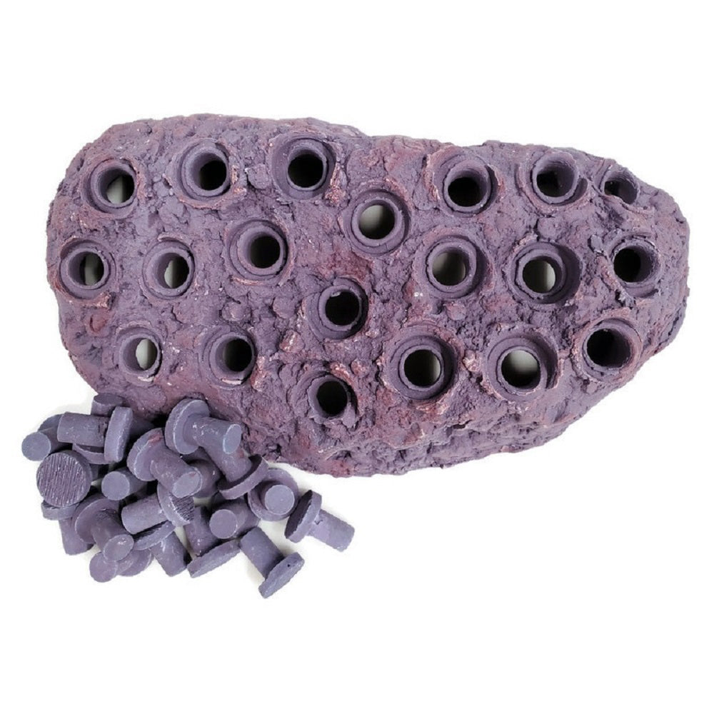 Coralline Purple Ceramic Coral Frag Hub 20.0 – Reef Goods